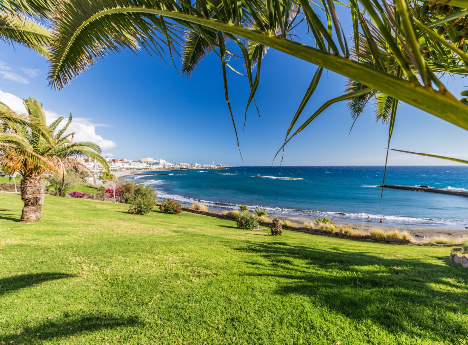 Tenerife's Gastronomic Scene: Top Restaurants Guide- The Best Canary ...