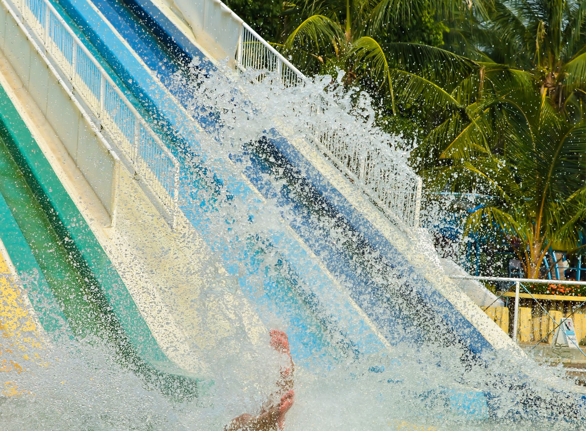 Thrill-Seeker's Paradise: Best Theme Parks in the Canaries- The Best Canary Islands